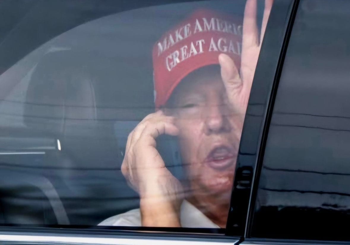 Donald Trump: The Fertilization Administration